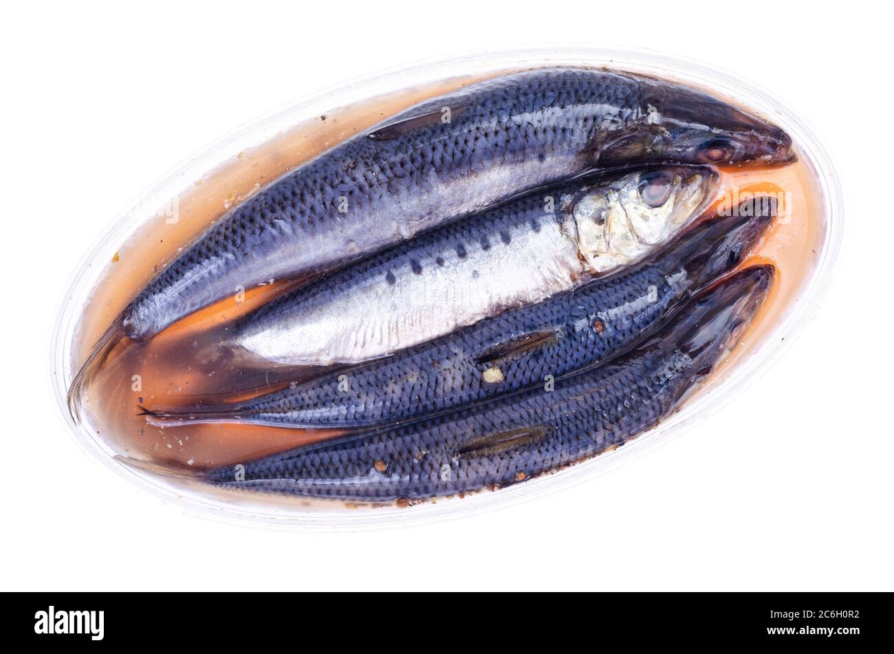 Photo sea fish in Cut Out Stock Images & Pictures - Alamy