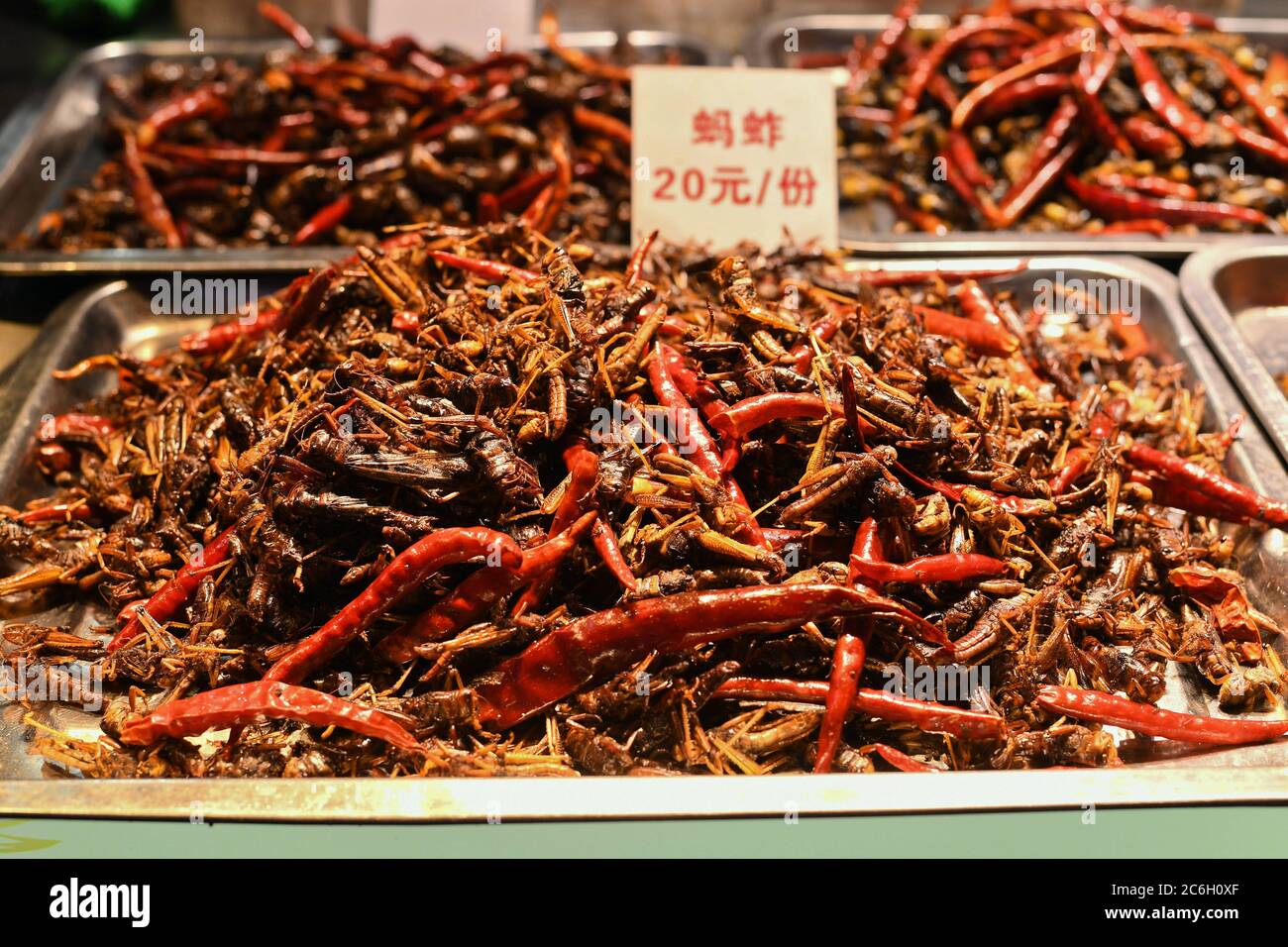 Deep fried insects are sold at a night market in Nanning city, south ...