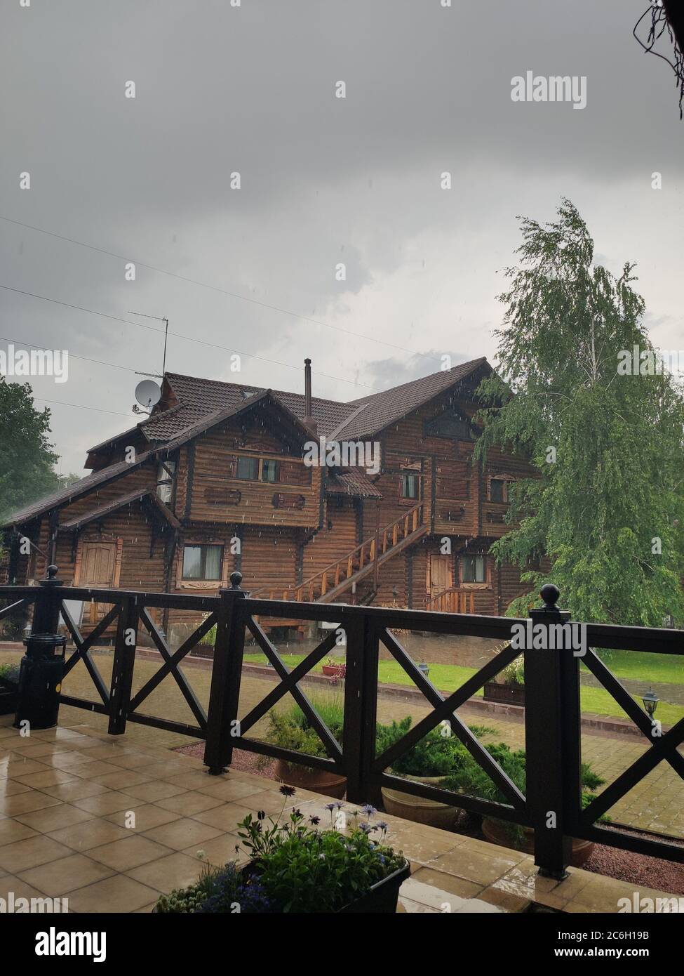 Proto tree hi-res stock photography and images - Alamy