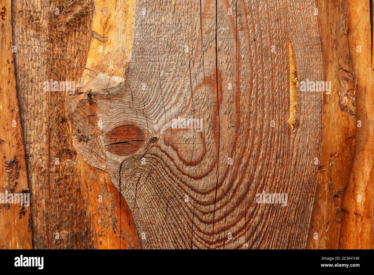 Rough Wood Knot High Resolution Stock Photography and Images - Alamy