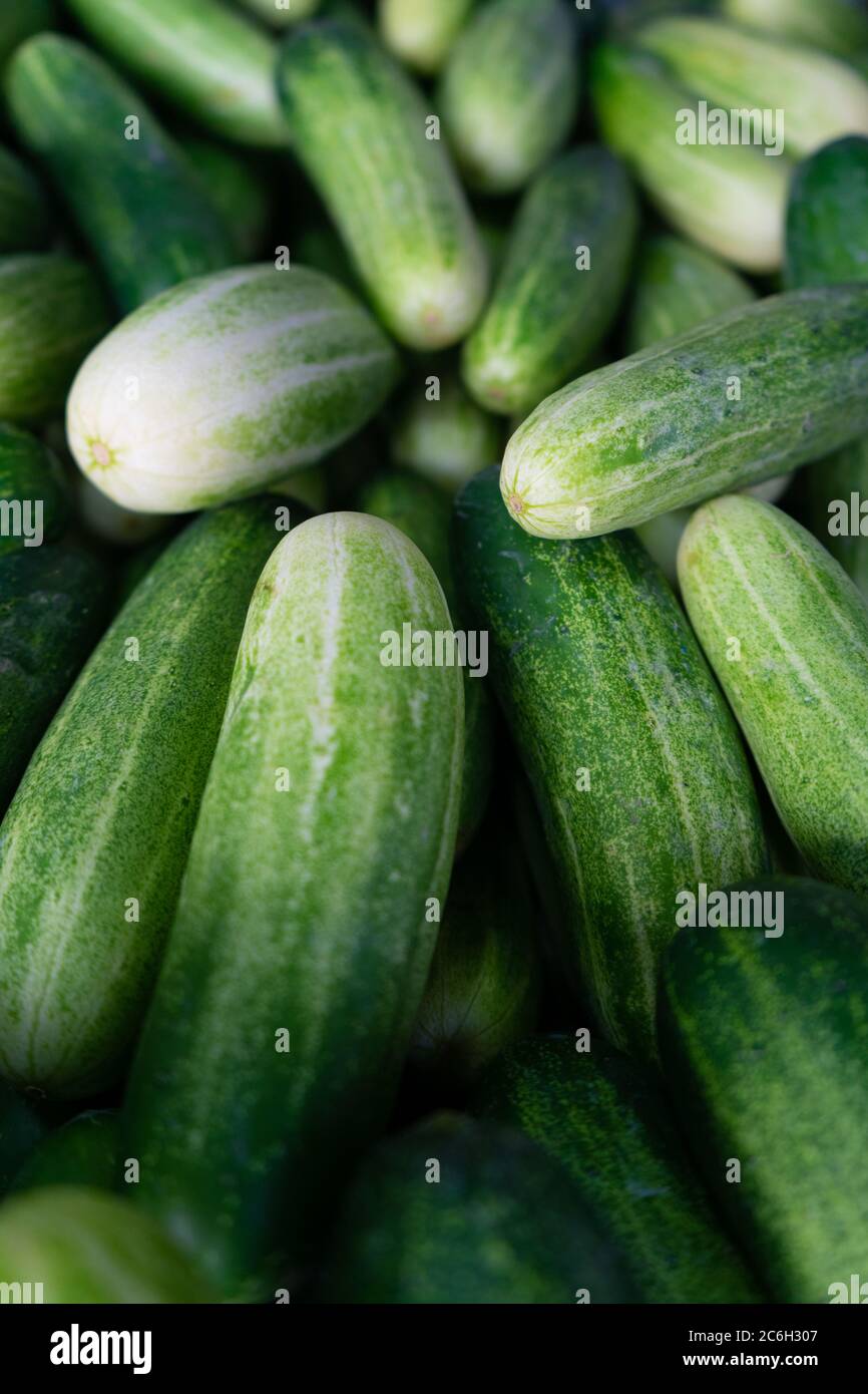 potrait stack of cucumber at traditional market Stock Photo - Alamy