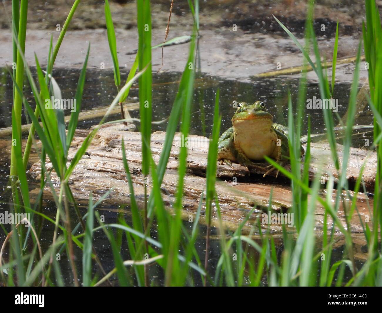 Brown canyon ranch hi-res stock photography and images - Alamy