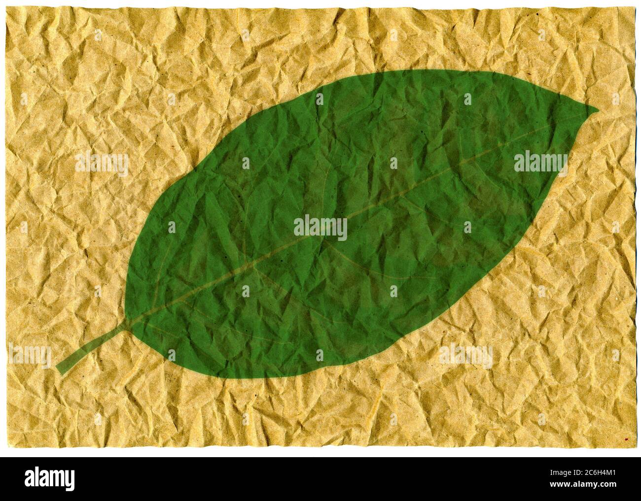 Distortion Paper High Resolution Stock Photography and Images - Alamy