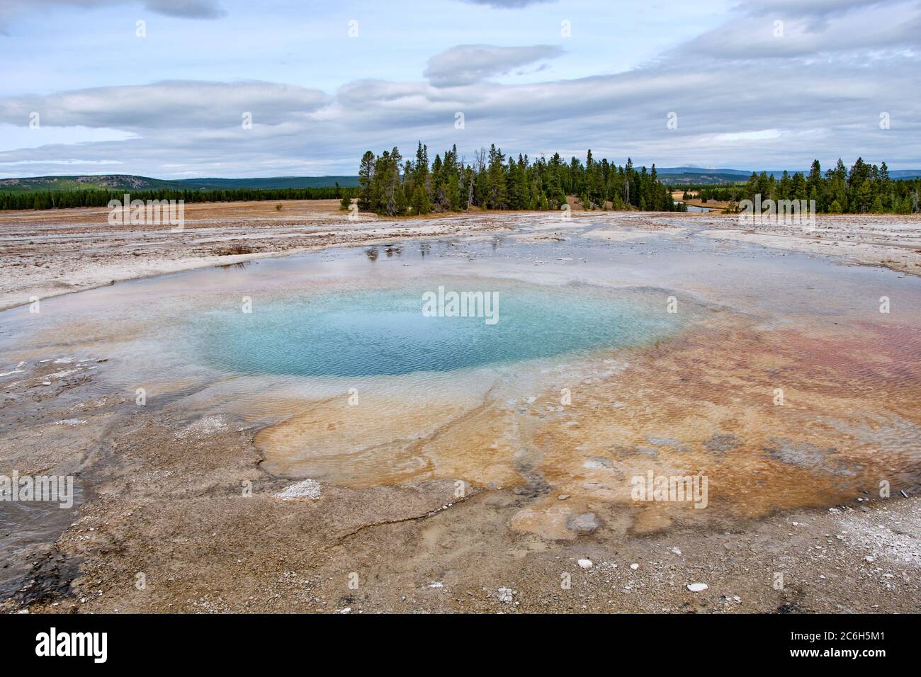 Yellowstone bison grand prismatic hi-res stock photography and images ...