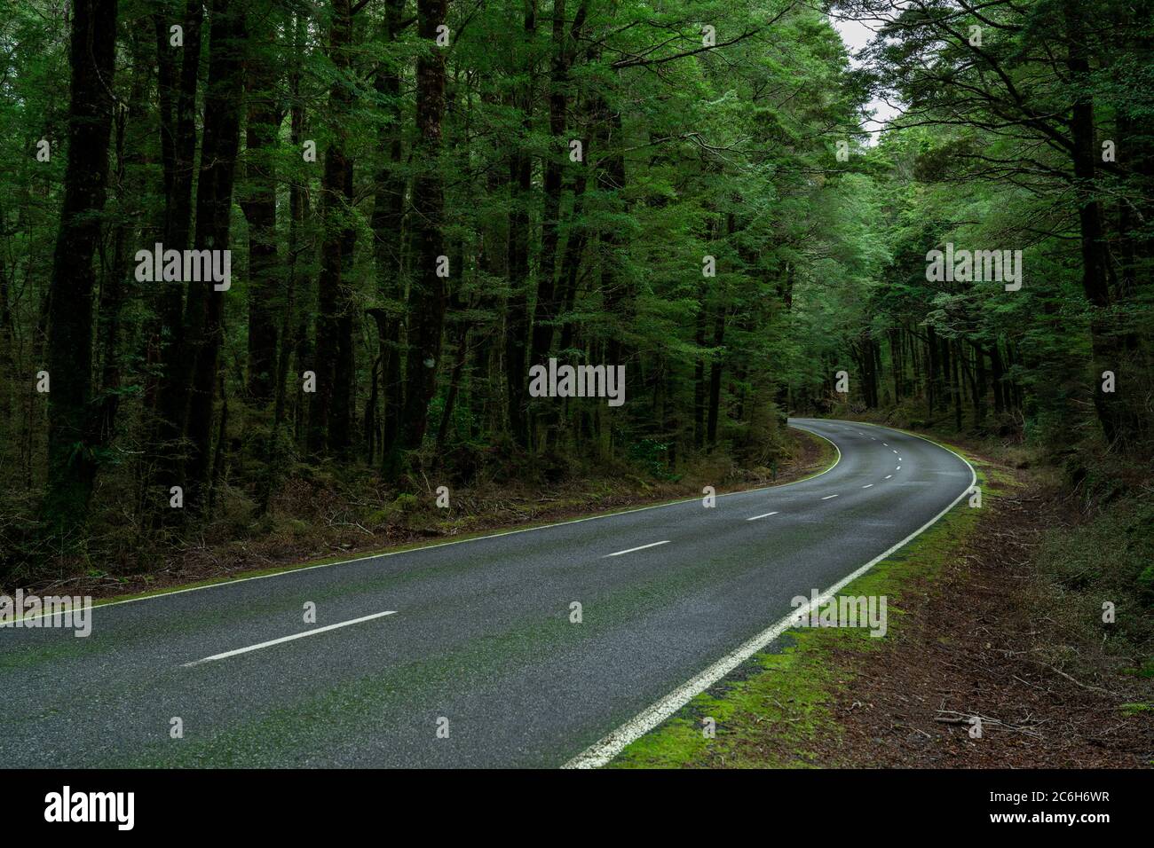 Open Highway Road in future, no cars, auto on asphalt road through ...