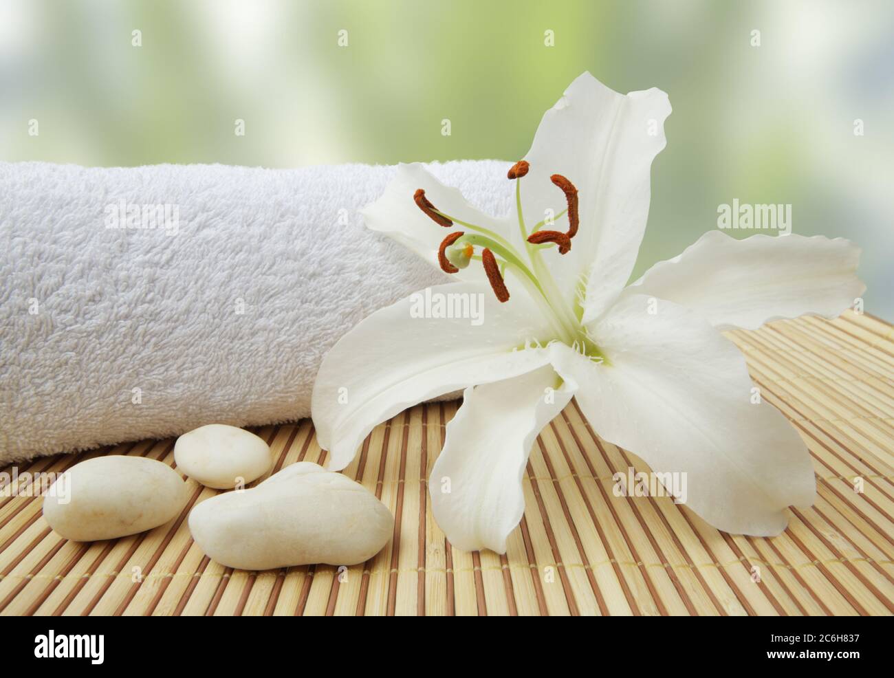 wellness still life pebbles and white madonna lily, spa,massage concept ...