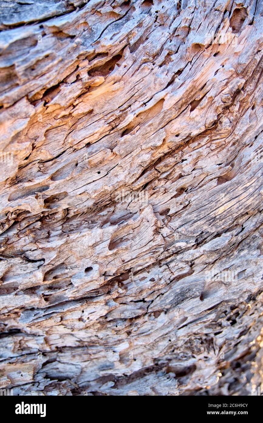 Old, wooden boards with texture as background Stock Photo - Alamy