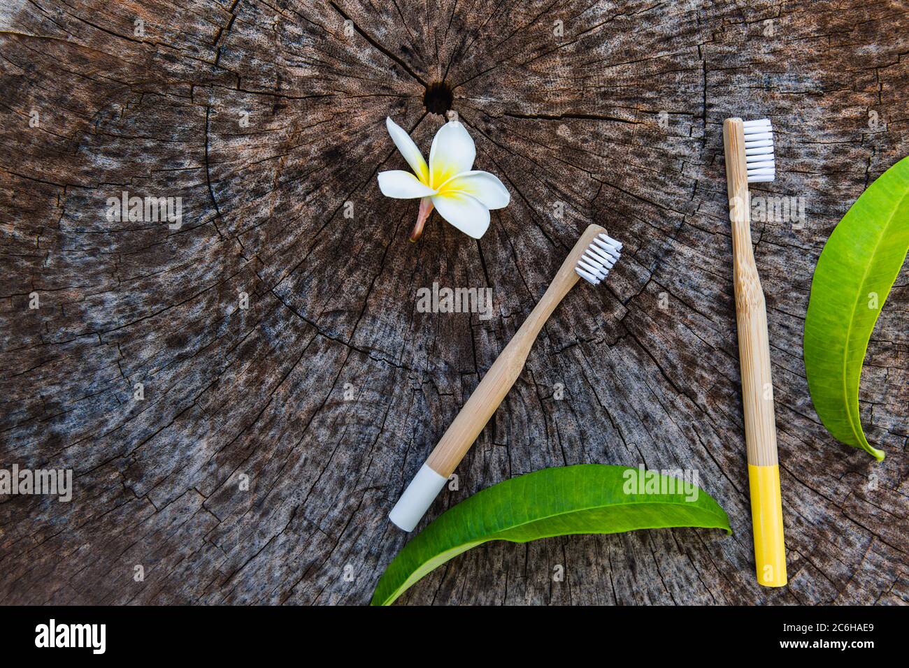 Flat bamboo flower hi-res stock photography and images - Alamy