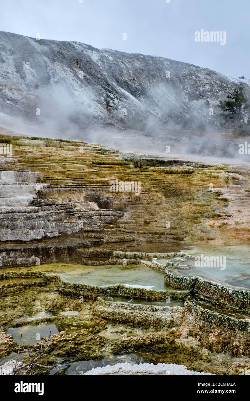 Minerva terrace yellowstone national hi-res stock photography and ...