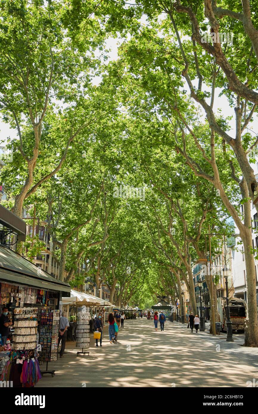 Las ramblas of barcelona hi-res stock photography and images - Alamy