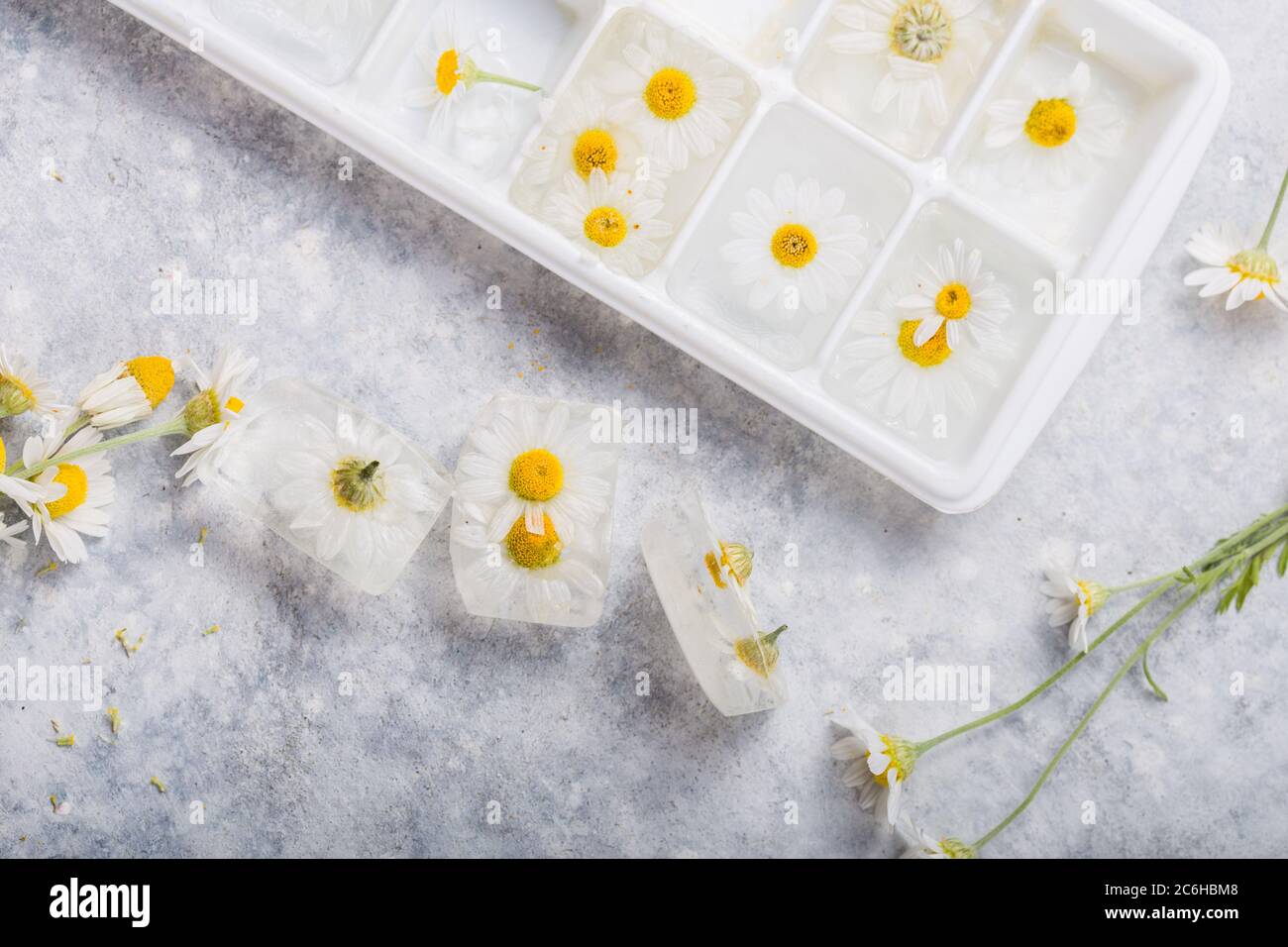 Ice cubes with chamomile flowers inside. Springtime symbolism Stock ...