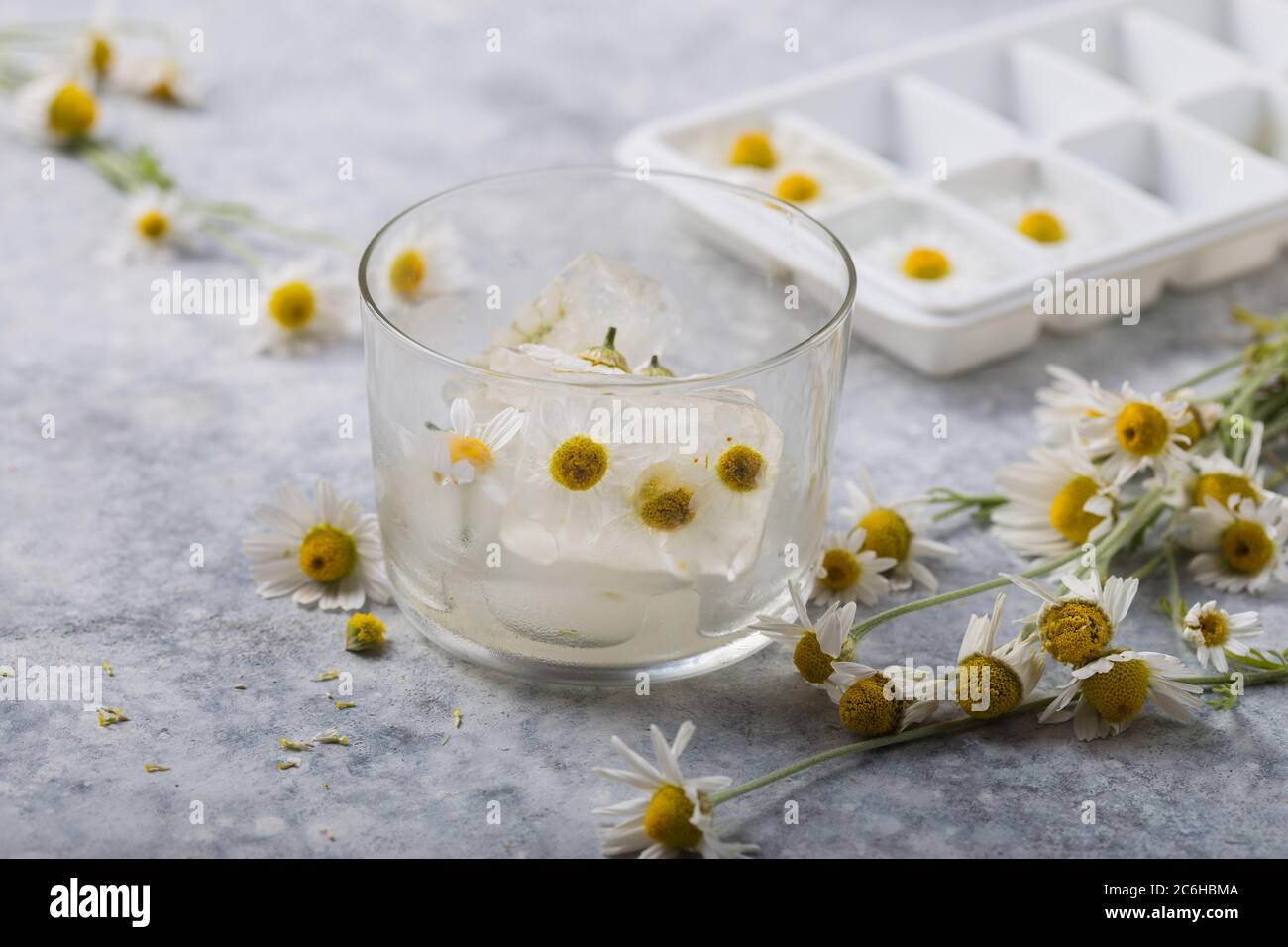 Ice cubes with chamomile flowers inside. Springtime symbolism Stock ...