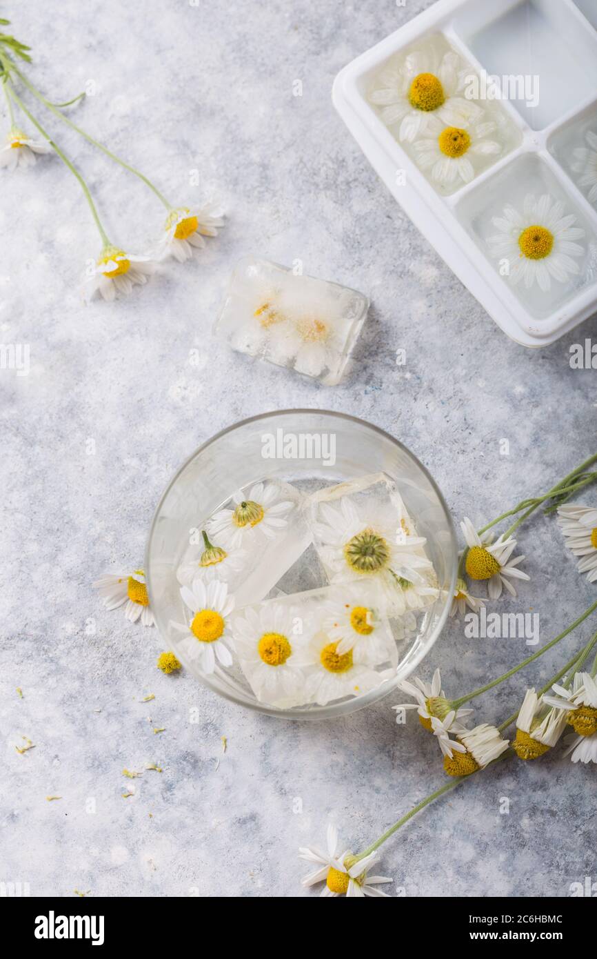 Ice cubes with chamomile flowers inside. Springtime symbolism Stock ...