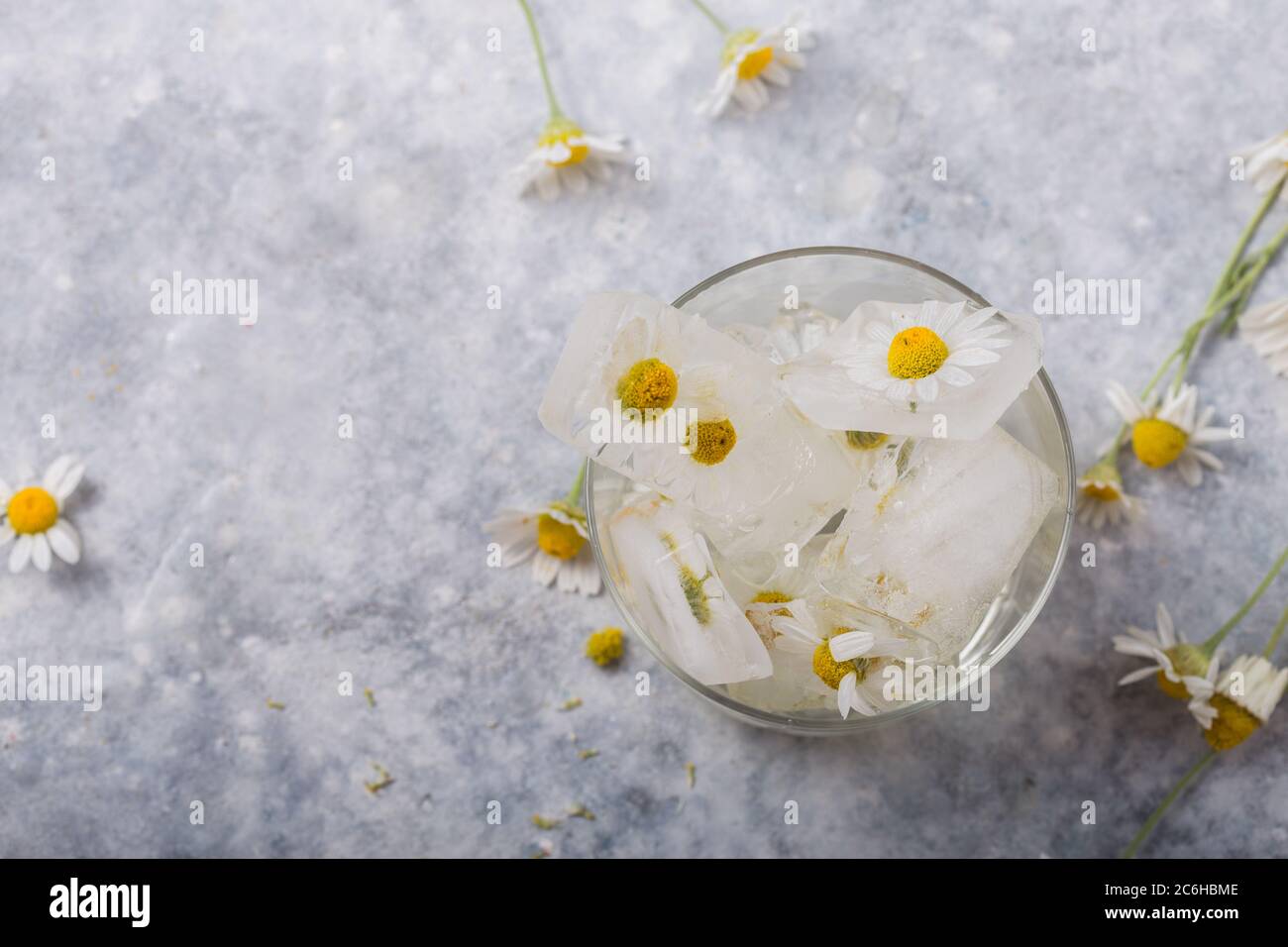 Ice cubes with chamomile flowers inside. Springtime symbolism Stock ...