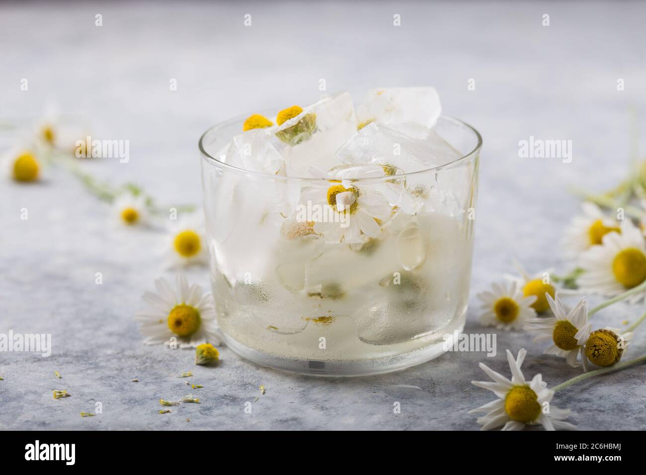 Ice cubes with chamomile flowers inside. Springtime symbolism Stock Photo - Alamy
