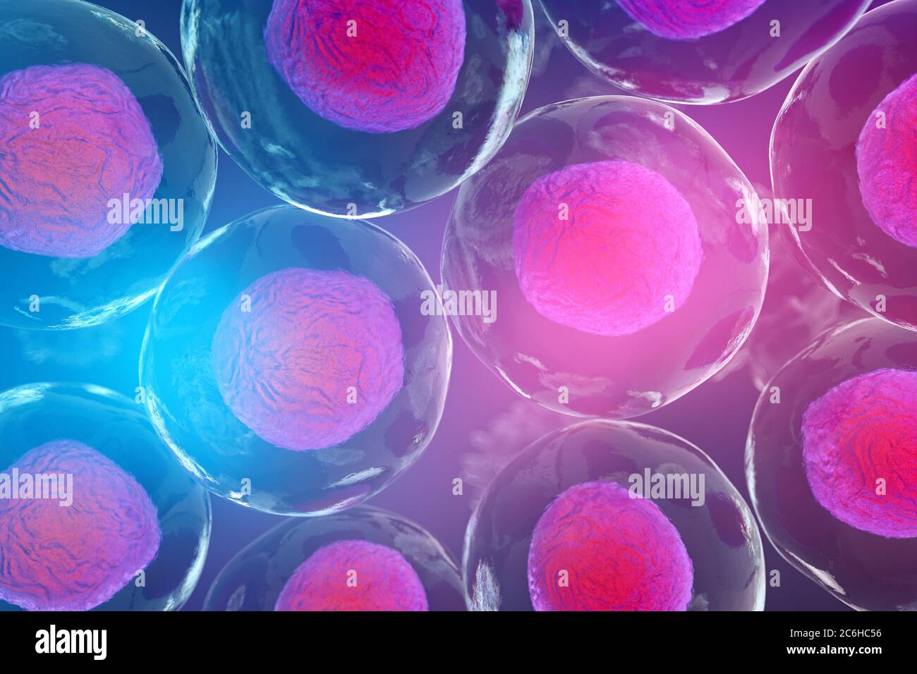 Body cells under a microscope. A good illustration as a representation ...