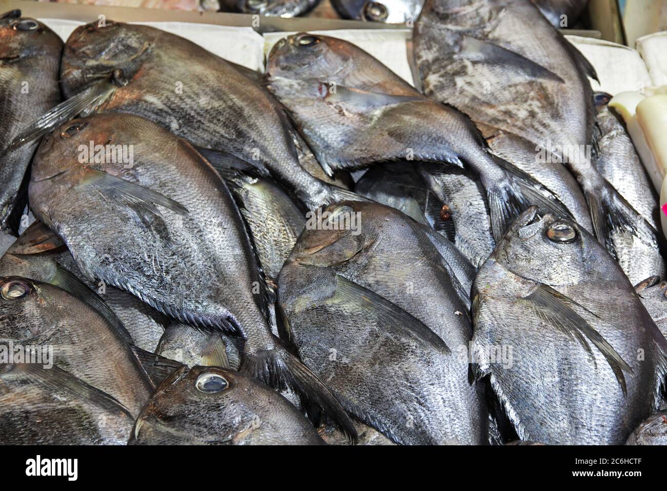 Fish in Mercado Central, Central market in Santiago, Chile Stock Photo ...