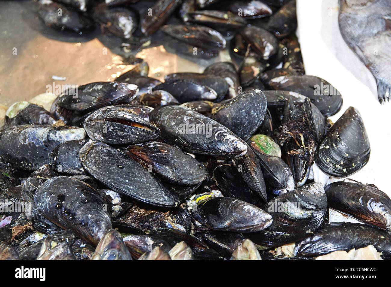 Mercado central de santiago history hi-res stock photography and images ...