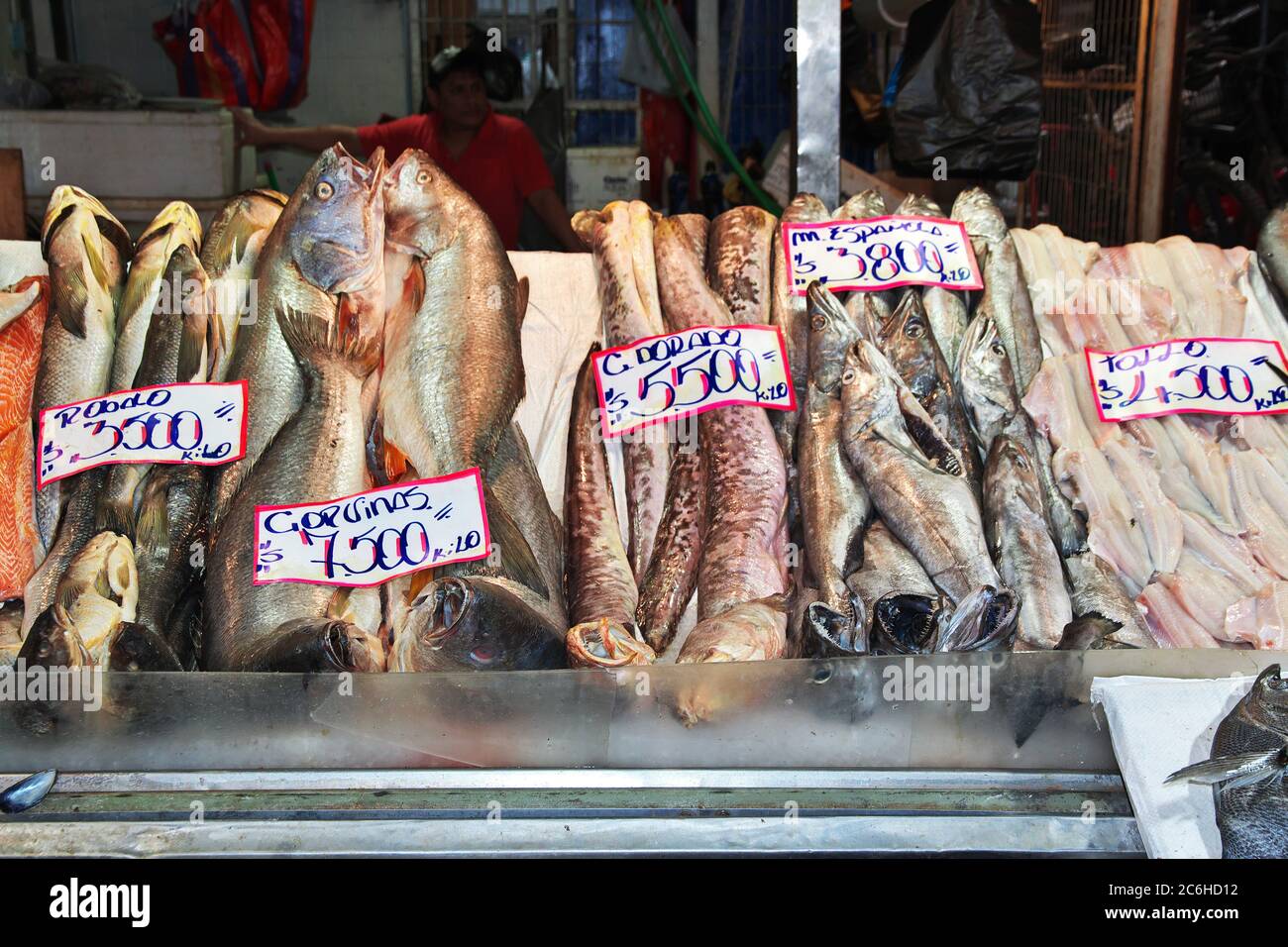Fish in Mercado Central, Central market in Santiago, Chile Stock Photo ...