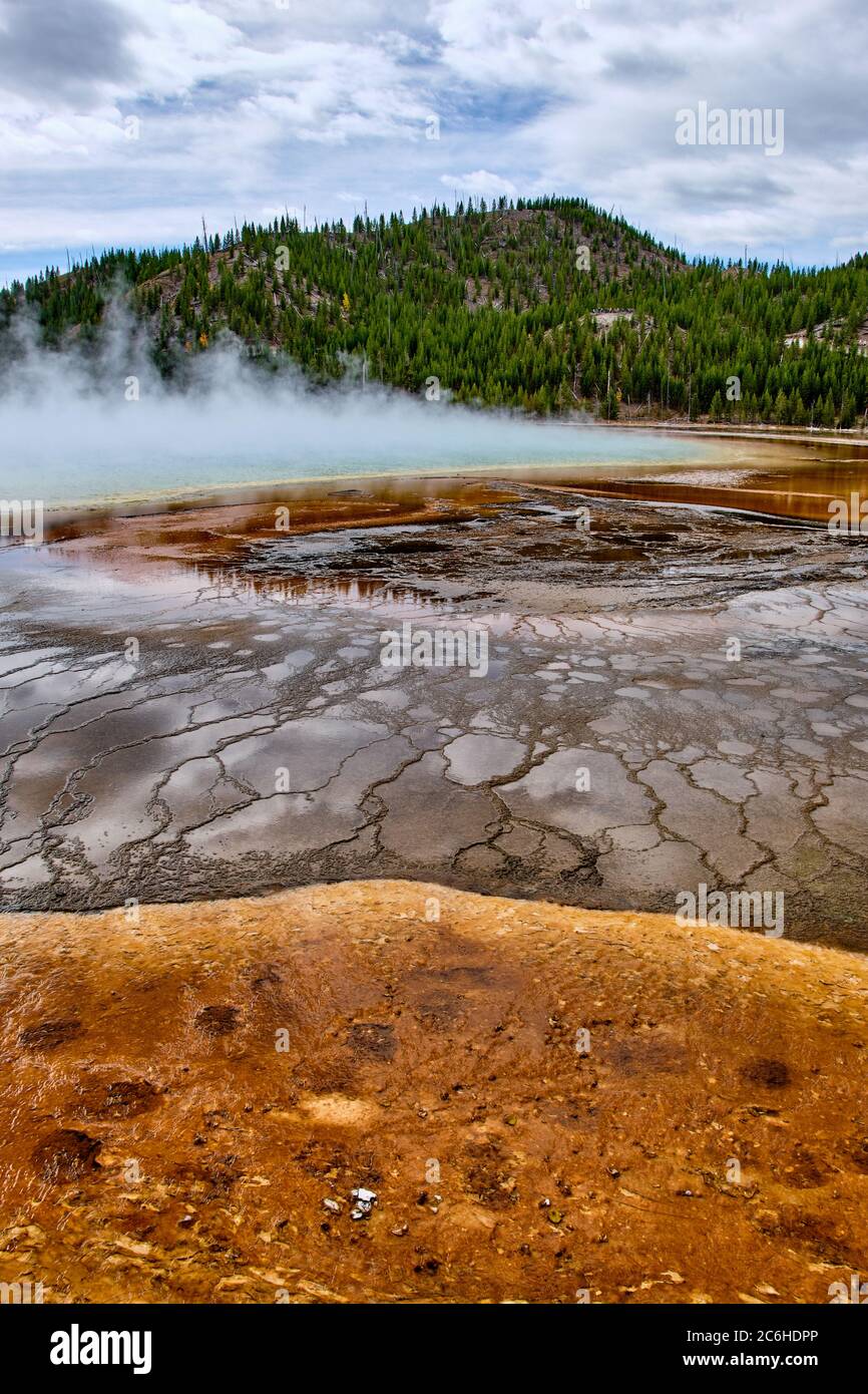Yellowstone bison grand prismatic hi-res stock photography and images ...