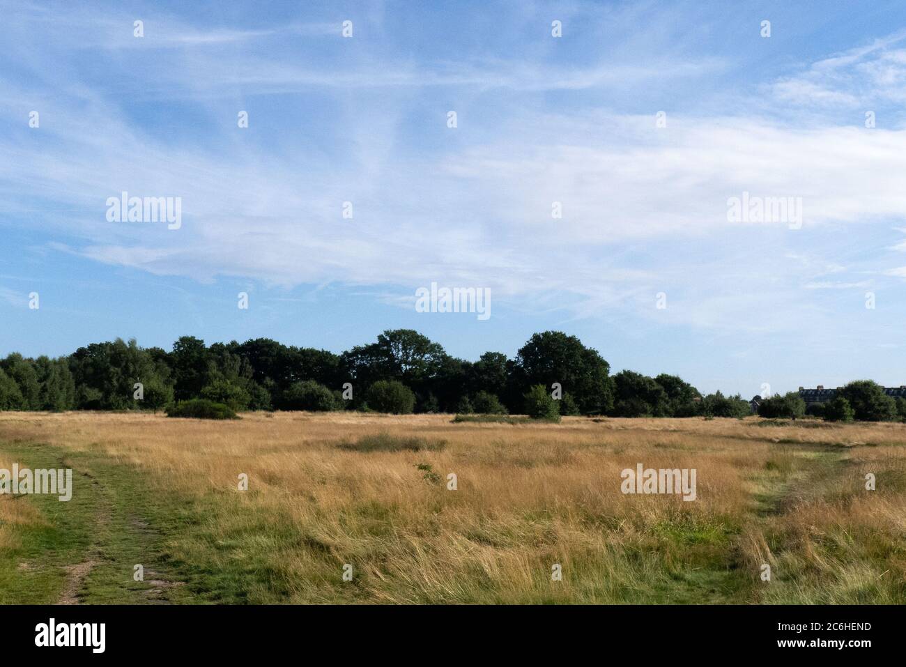 Hollow ponds walthamstow hi-res stock photography and images - Alamy