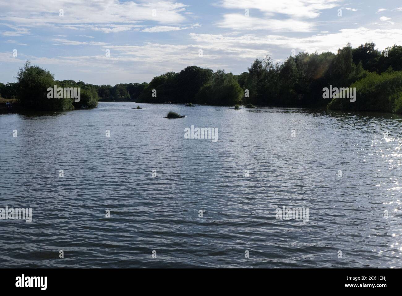 Ponds ponds ponds ponds forest hi-res stock photography and images - Alamy