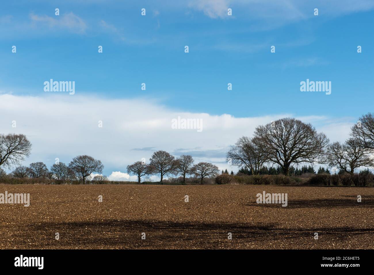 Noon walk in the Chiltern hills north of London, Ehland Stock Photo - Alamy