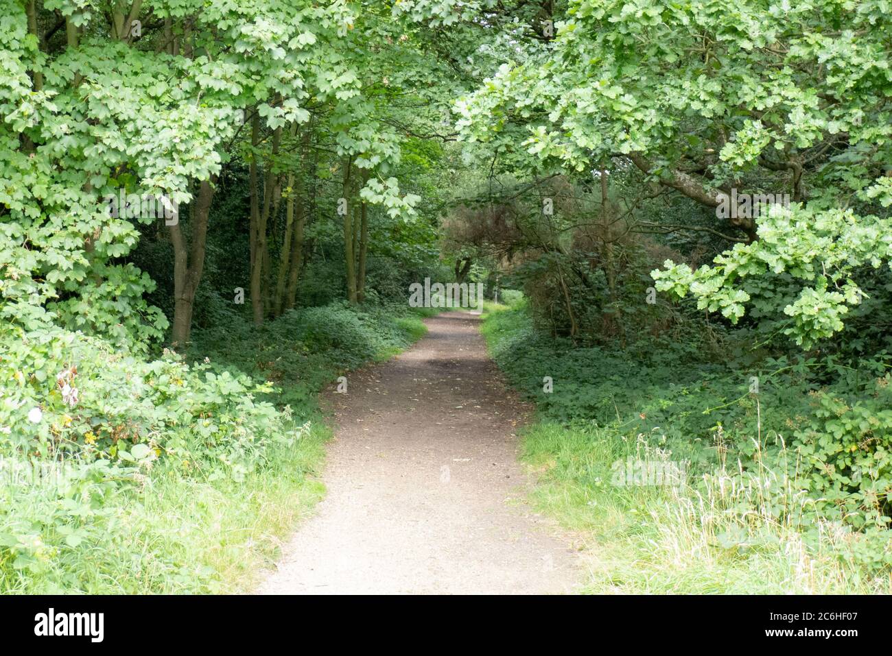Crooked pathway hi-res stock photography and images - Alamy