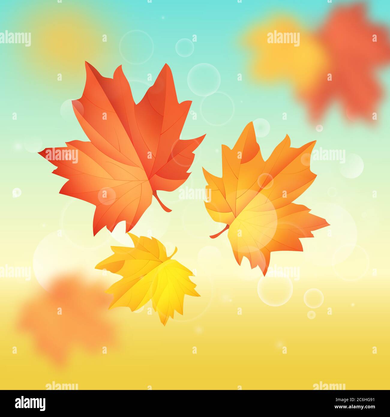 First autumn leaf Stock Vector Images - Alamy