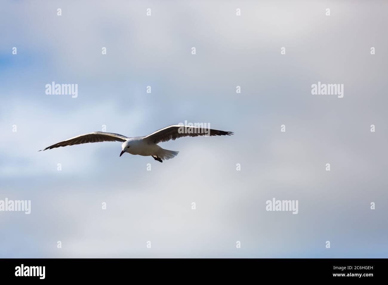 Souring hi-res stock photography and images - Alamy