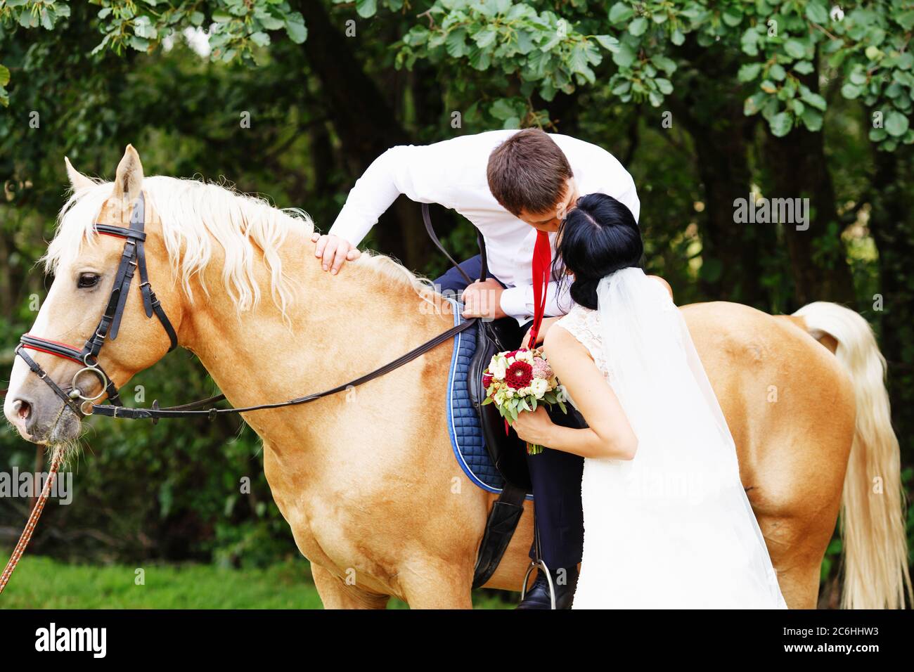 Wedding. Bride and groom with horse. bride and groom on a horses in the ...