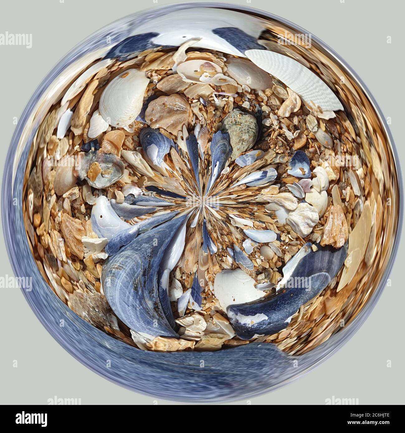 Coloured seashells hi-res stock photography and images - Alamy