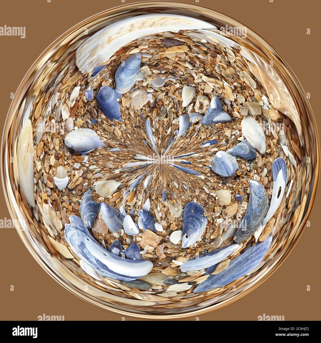 Seashell orb hi-res stock photography and images - Alamy