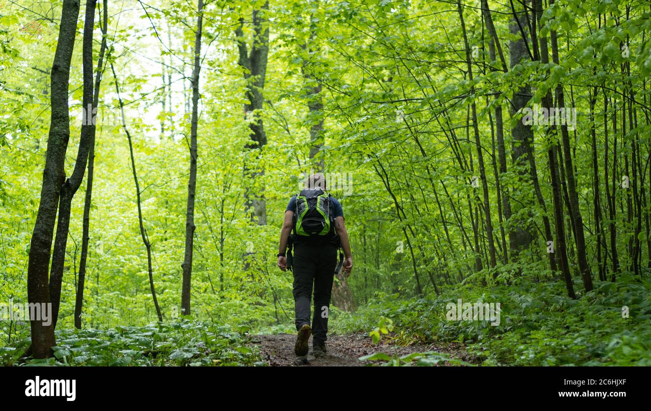 Boy walking along a nature trail hi-res stock photography and images ...