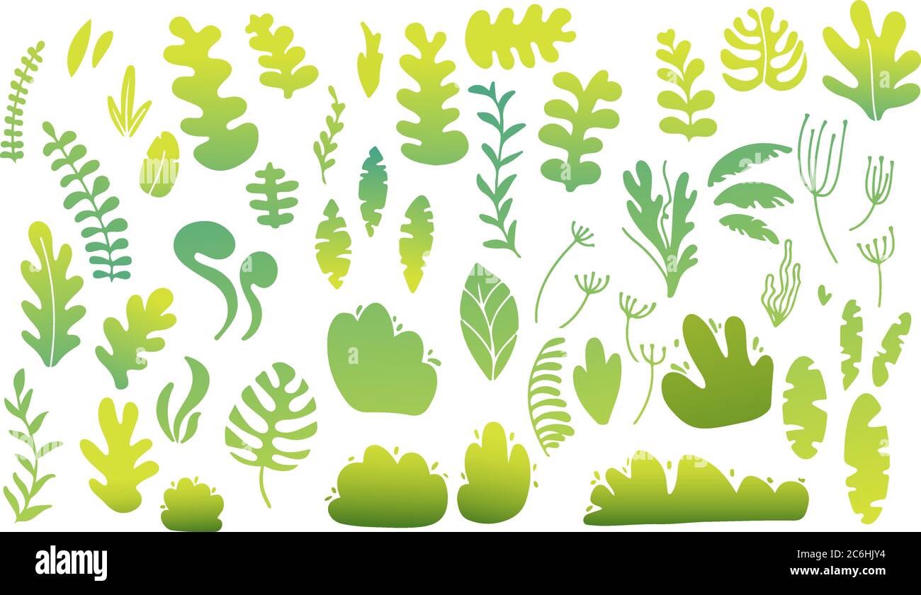 Horse and vegetation Stock Vector Images - Alamy