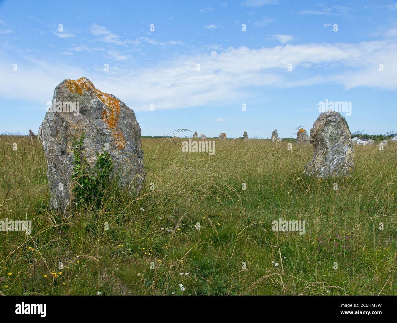 Menhir stone rows of Lagatjar near Camaret-sur-Mer in Bretagne France ...