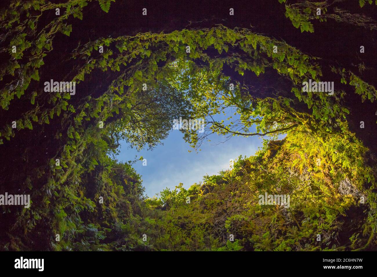 Cave in an extinct volcano on the island of Terceira Gruta do Algar do ...