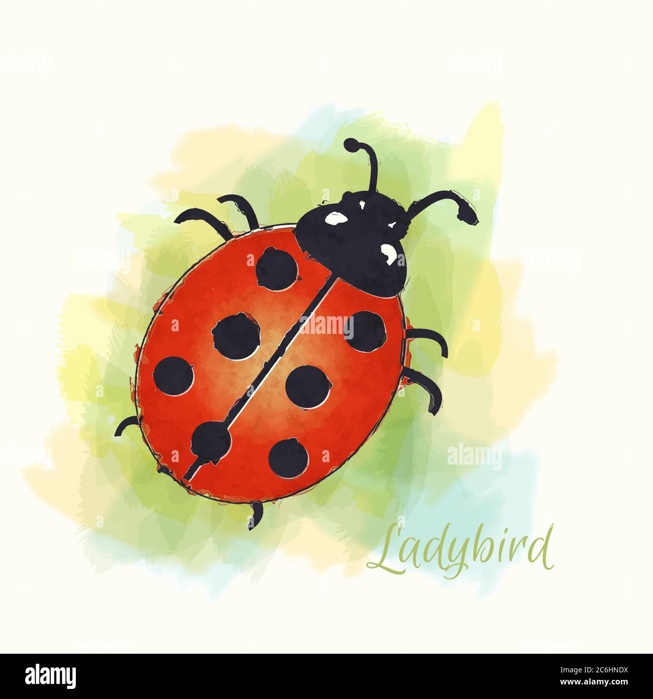 Watercolour illustration of a ladybird. EPS10 vector format Stock ...