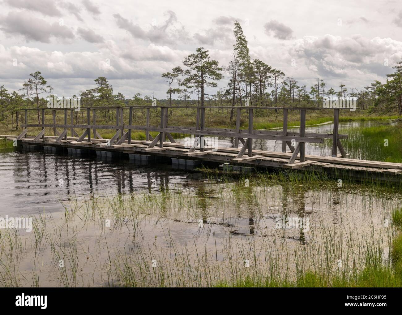 landscape with a wooden construction walking bridge in the middle of ...