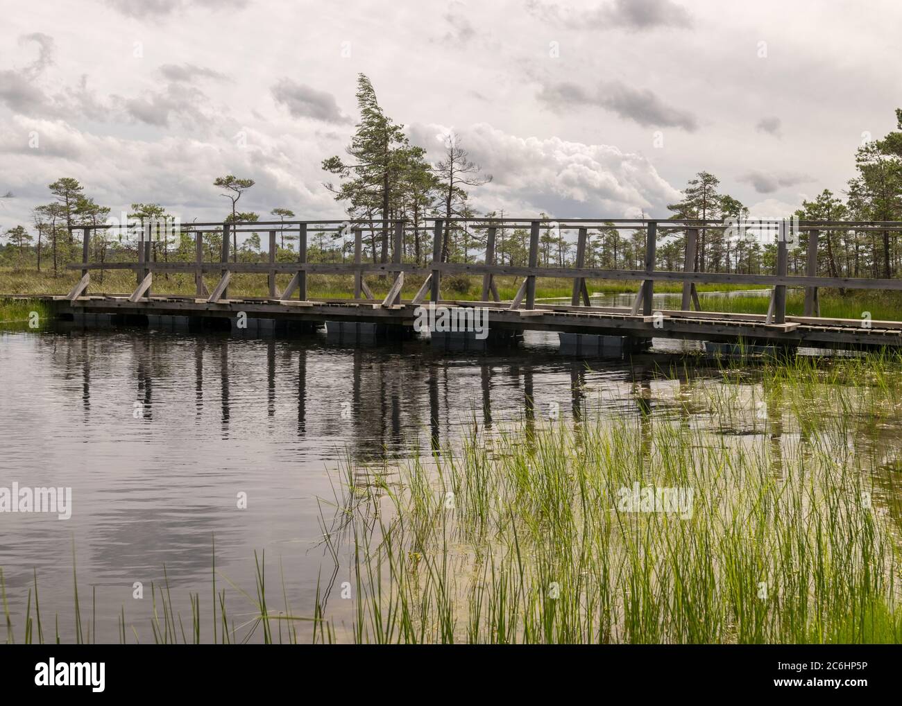 landscape with a wooden construction walking bridge in the middle of ...