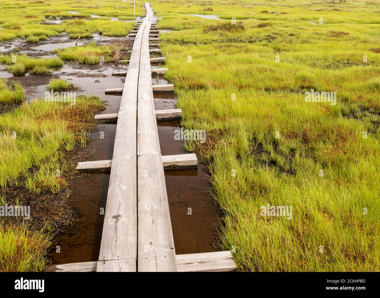 landscape with a pedestrian wooden footbridge over swamp wetlands with ...