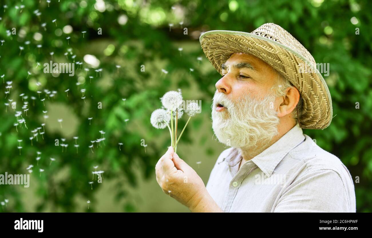 Old man blowing dandelion seeds hi-res stock photography and images - Alamy