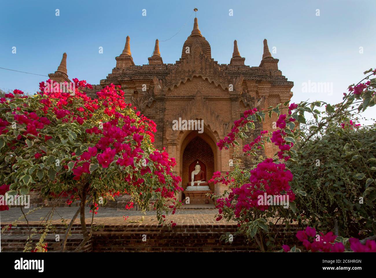 Myanmar flowers hi-res stock photography and images - Alamy