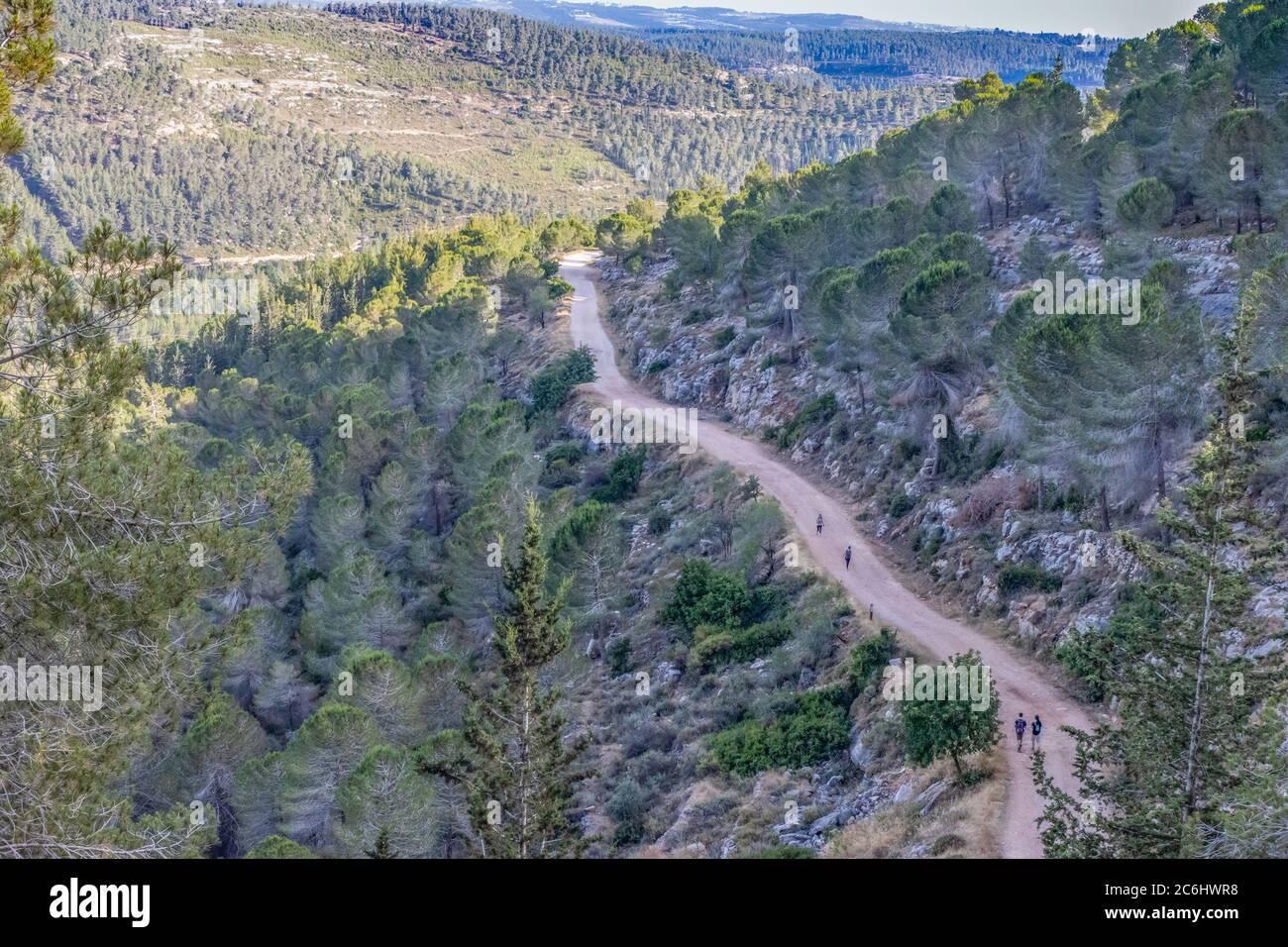Hikers on a forest path in the Judea mountains near Jerusalem, Israel ...