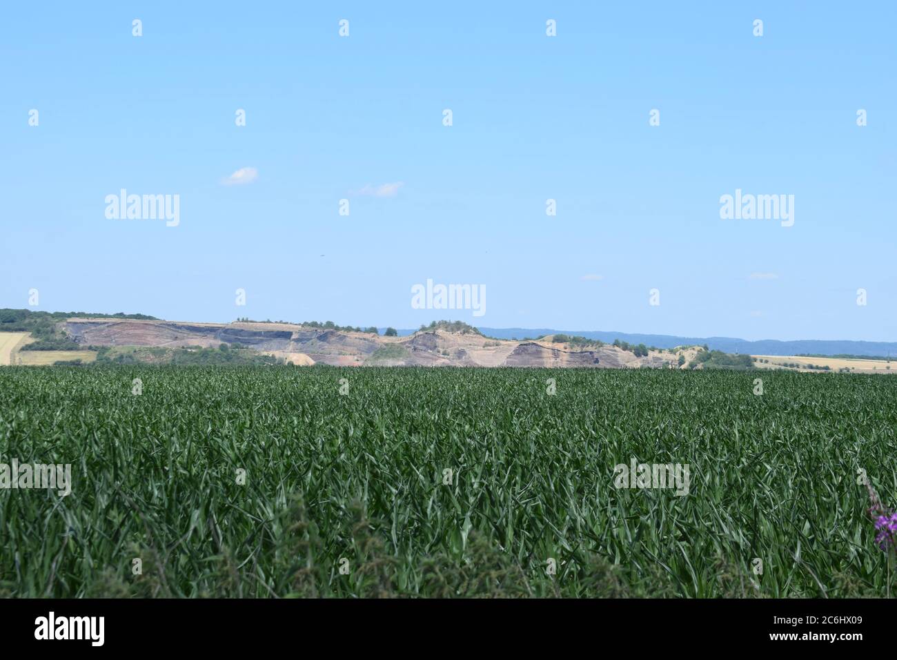 Infinite Corn Field High Resolution Stock Photography and Images - Alamy