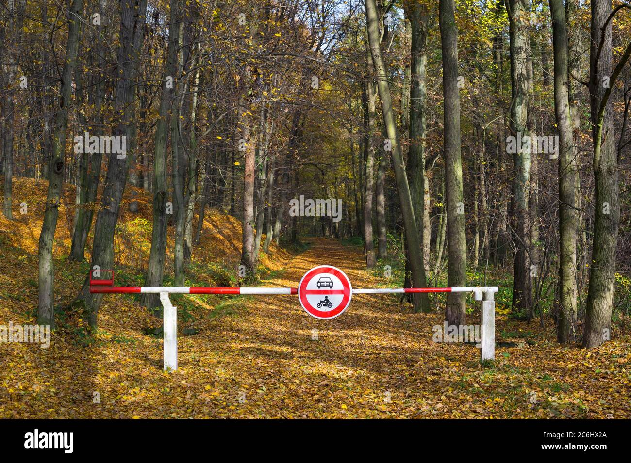 Gate on the road to the wood. Traffic barrier for stopping cars and ...