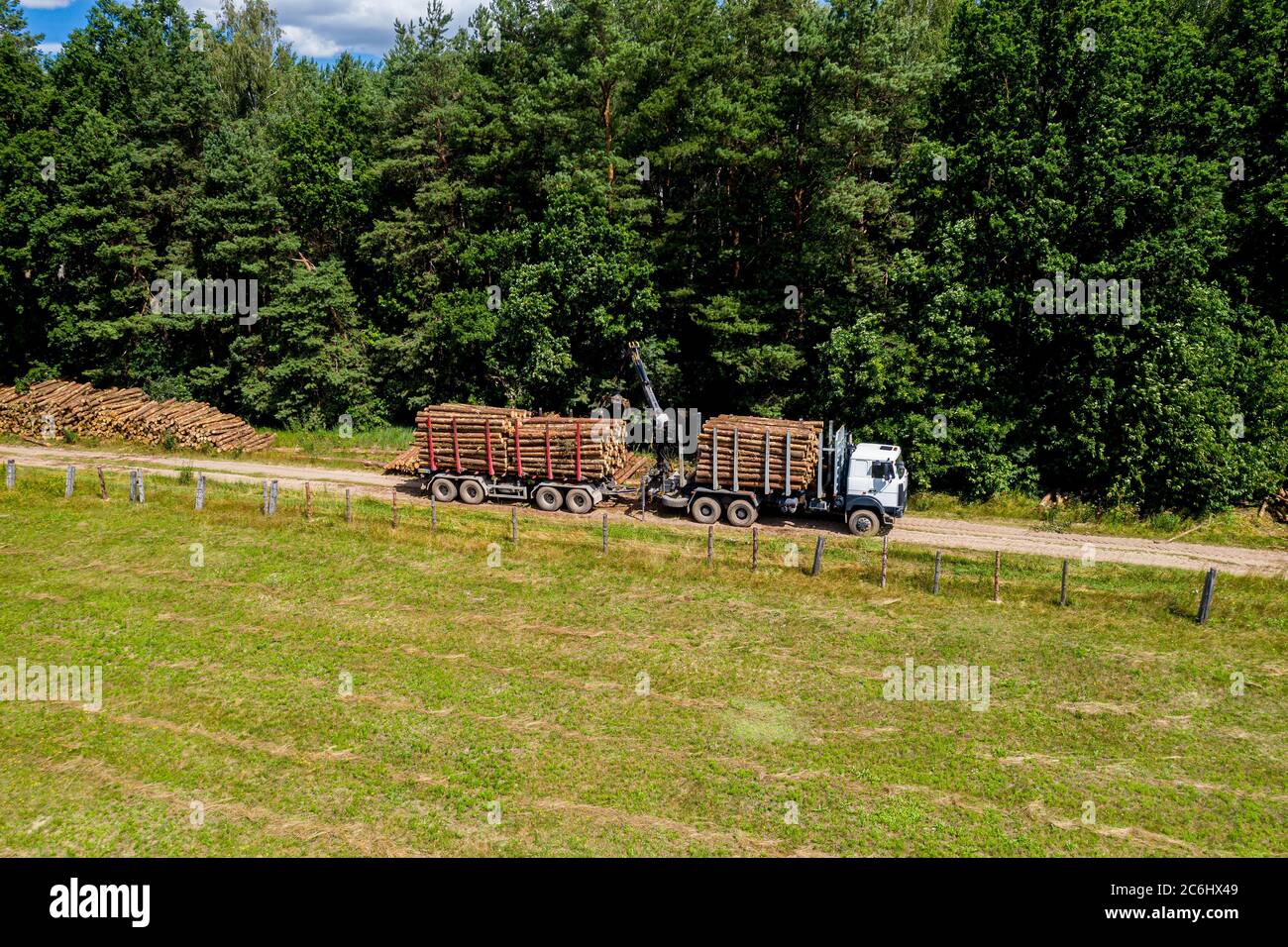 deforestation and logging top view. Trucks take away logs. Forest ...