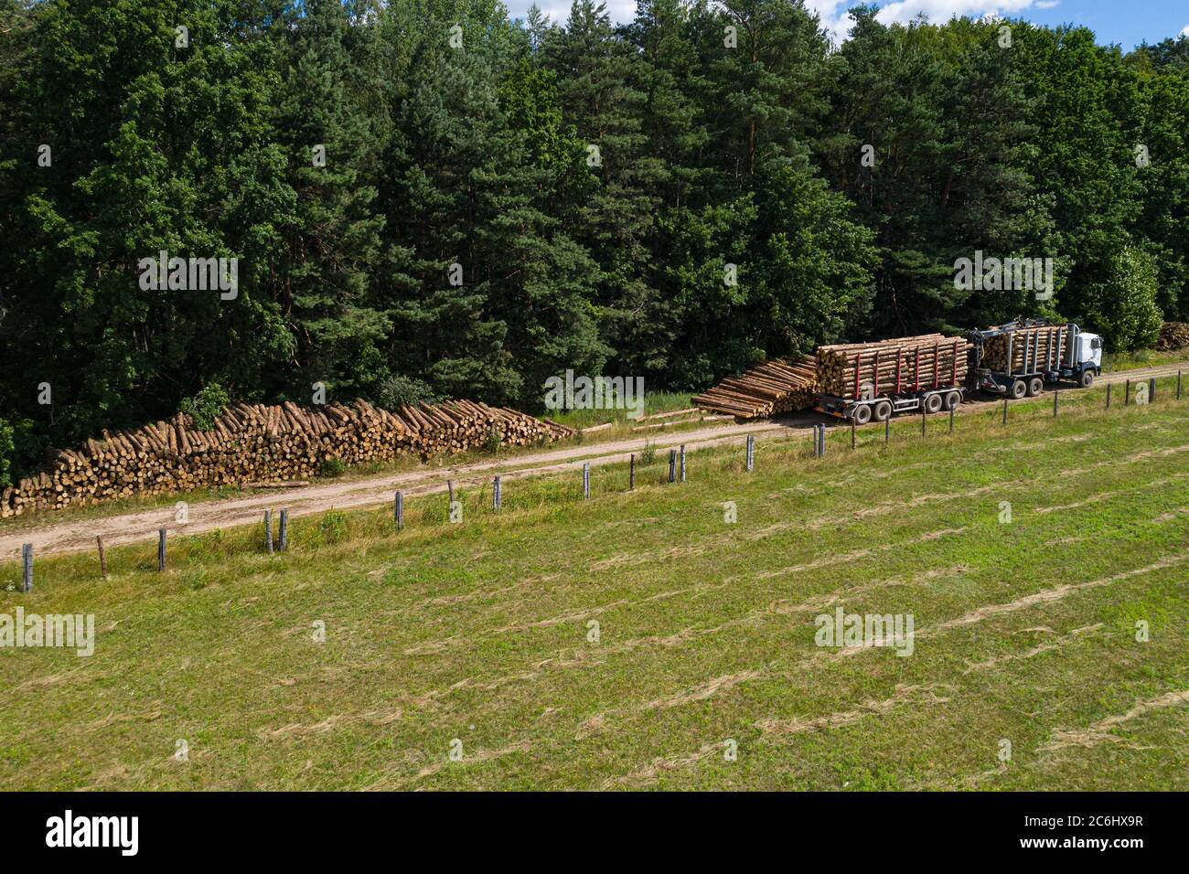deforestation and logging top view. Trucks take away logs. Forest ...