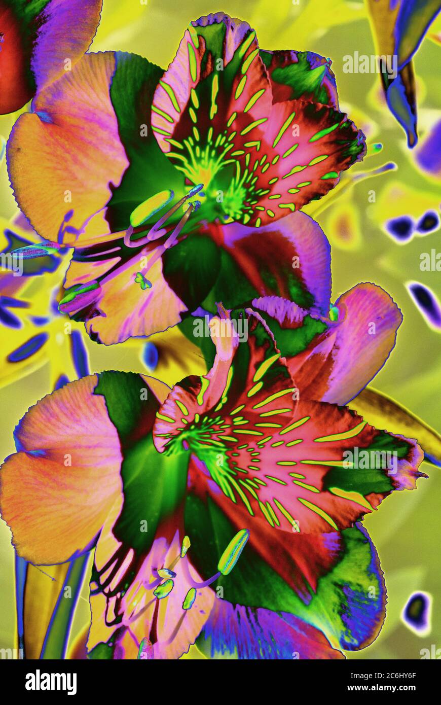 Digitally manipulated macro flower image. Psychedelic, Brilliant ...