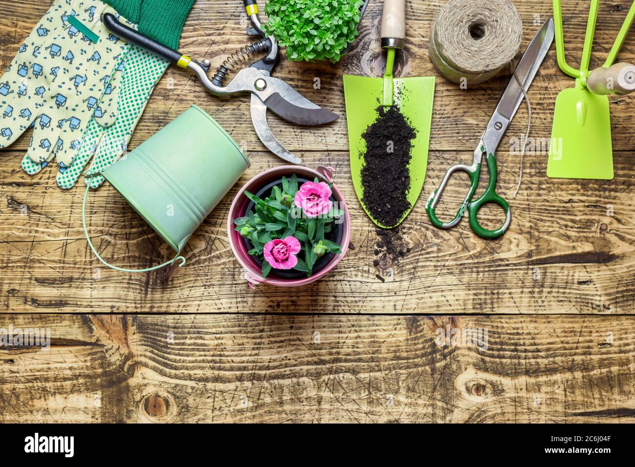 Gardening border with various flowers plant and garden tools on rustic ...